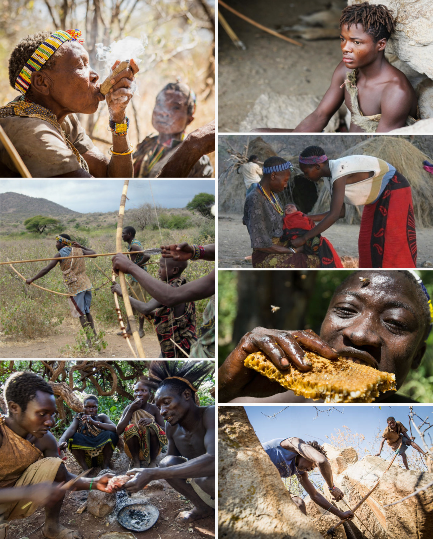 The Hadza – HONEST MEDIA